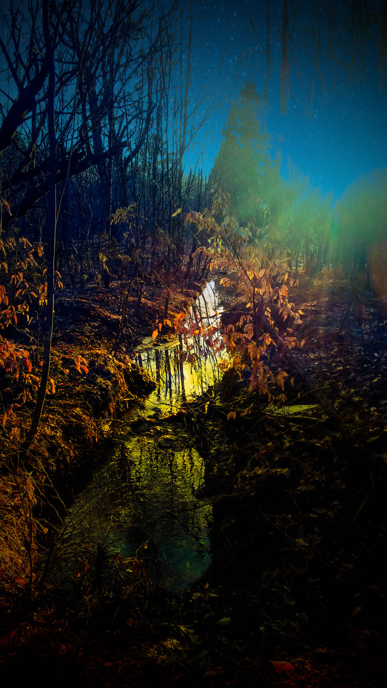 Buzzard Swamp Allegheny National Forest Marienville Pennsylvania - Epic ...